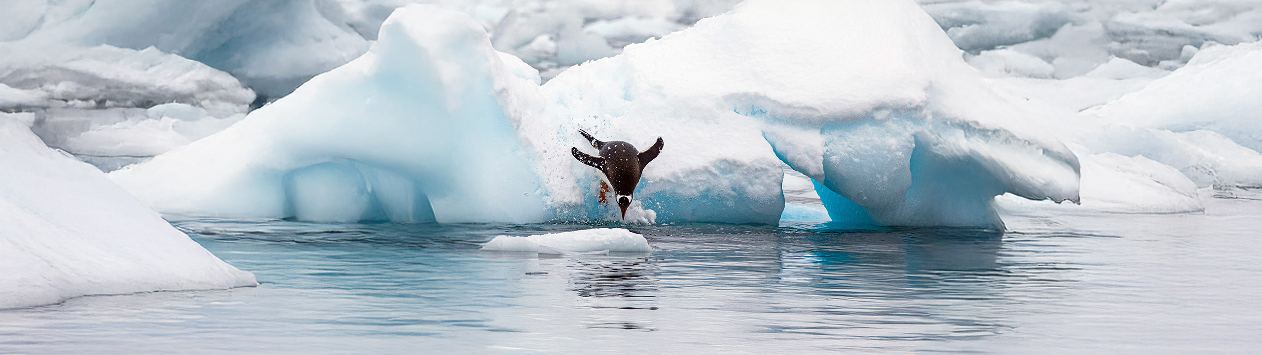 Atlas Ocean Voyages Announces New 2027/2028 Polar Expeditions To ...